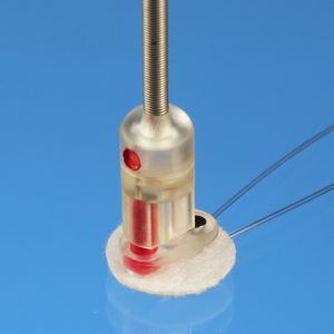 Two Channel Vascular Access Button™ for Mice | Linton Instrumentation ...