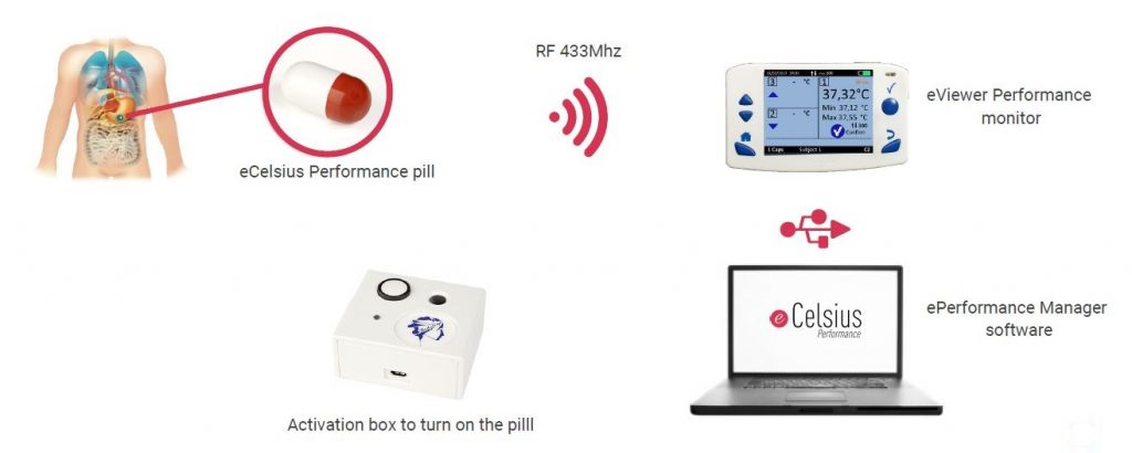 e-Celsius Performance Core Temperature Monitoring System | Linton ...
